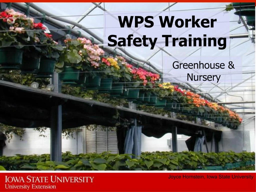 PPT - WPS Worker Safety Training PowerPoint Presentation, free download - ID:326623