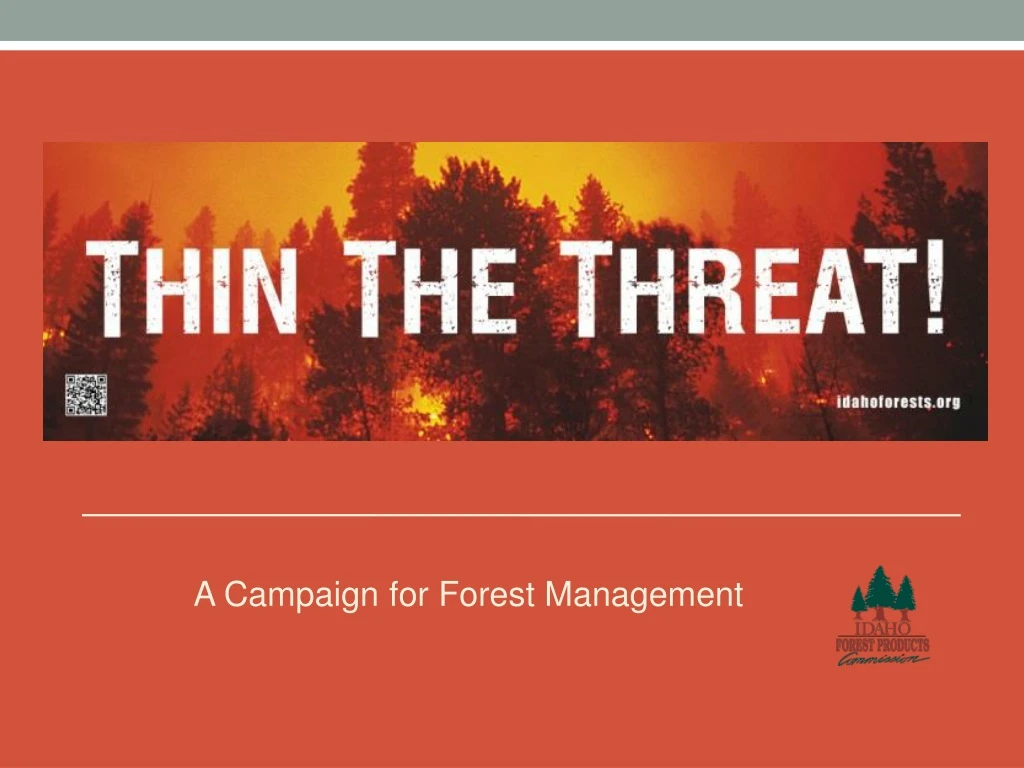 PPT - A Campaign for Forest Management PowerPoint Presentation, free ...