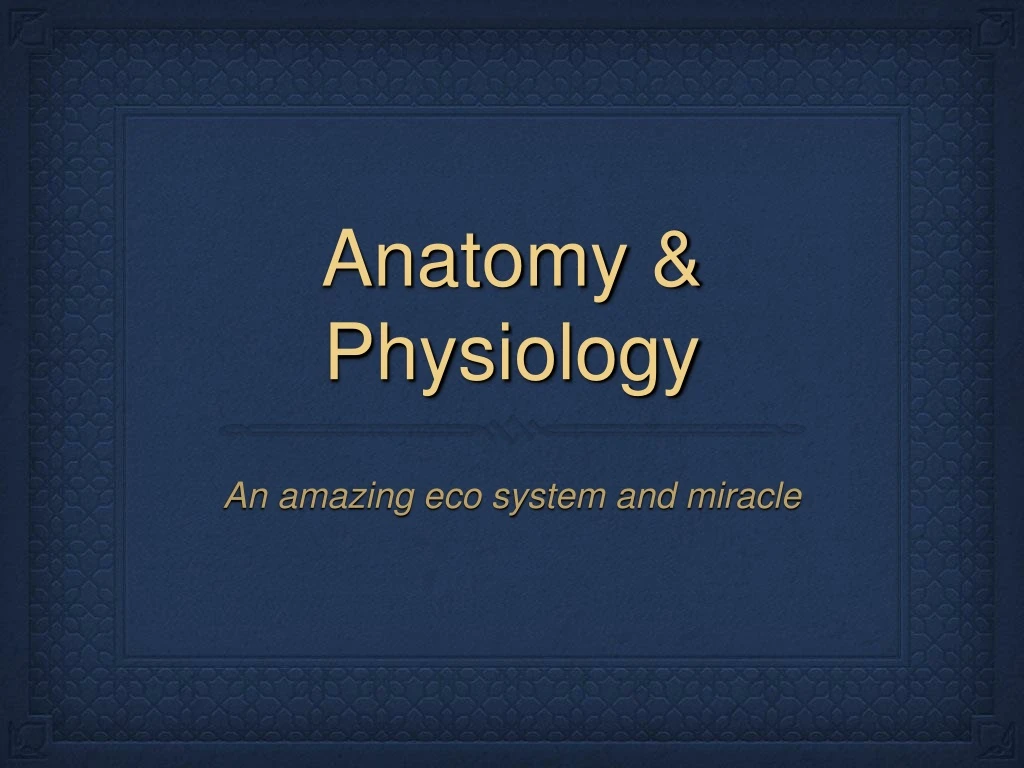 PPT - Anatomy & Physiology PowerPoint Presentation, free download - ID:334140