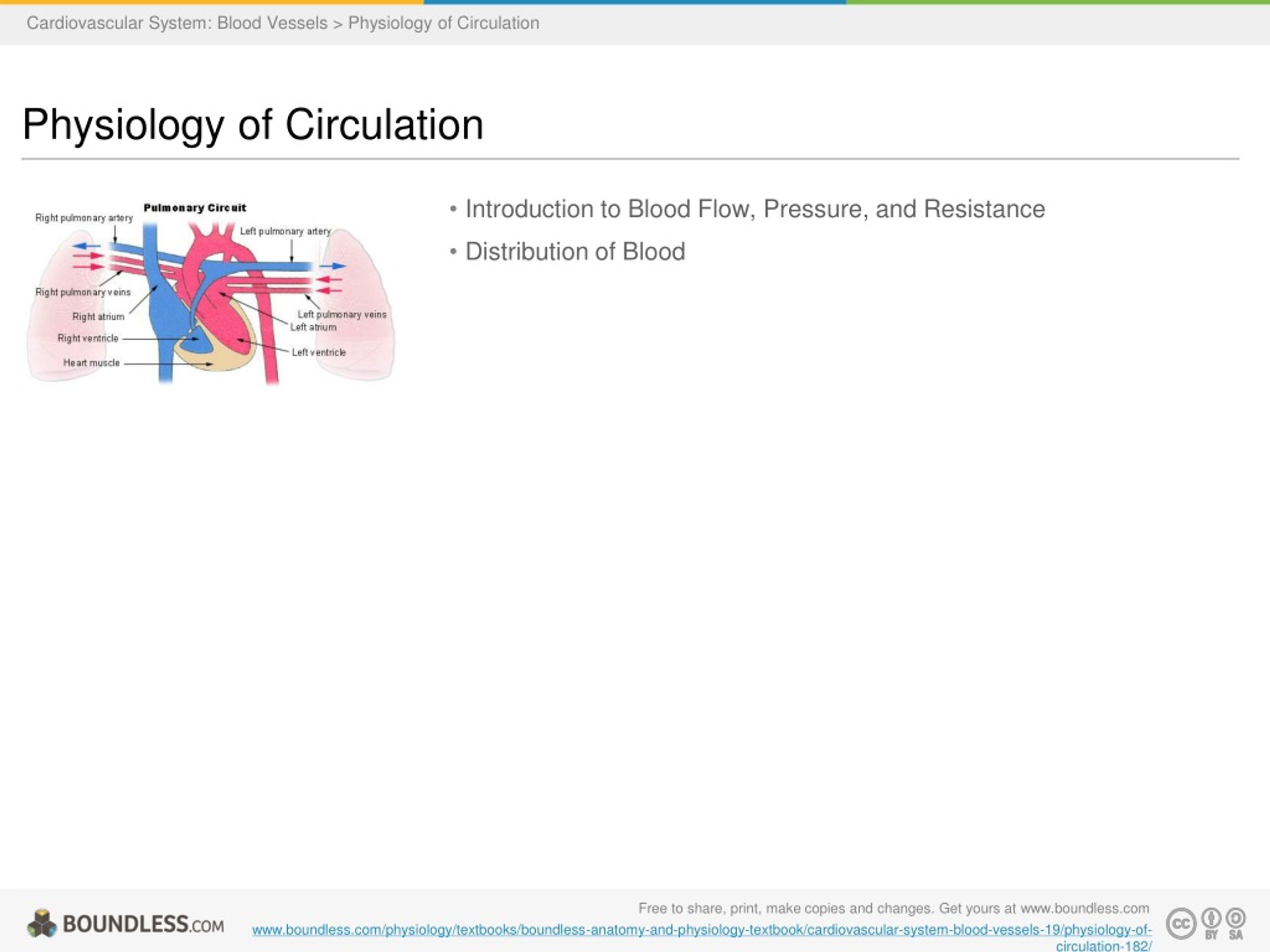 PPT - Boundless Lecture Slides PowerPoint Presentation, free download ...