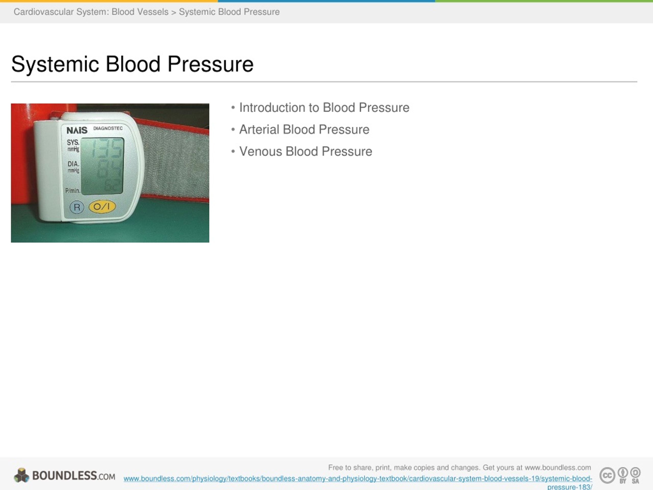 PPT - Boundless Lecture Slides PowerPoint Presentation, free download ...