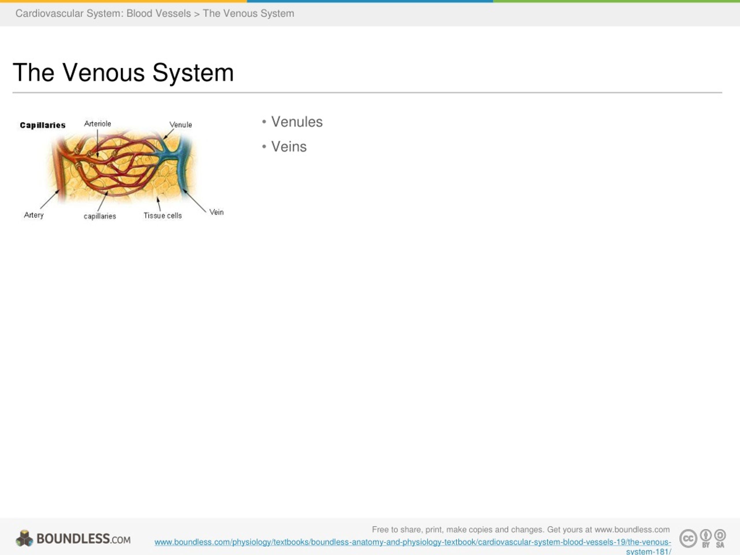 PPT - Boundless Lecture Slides PowerPoint Presentation, free download ...