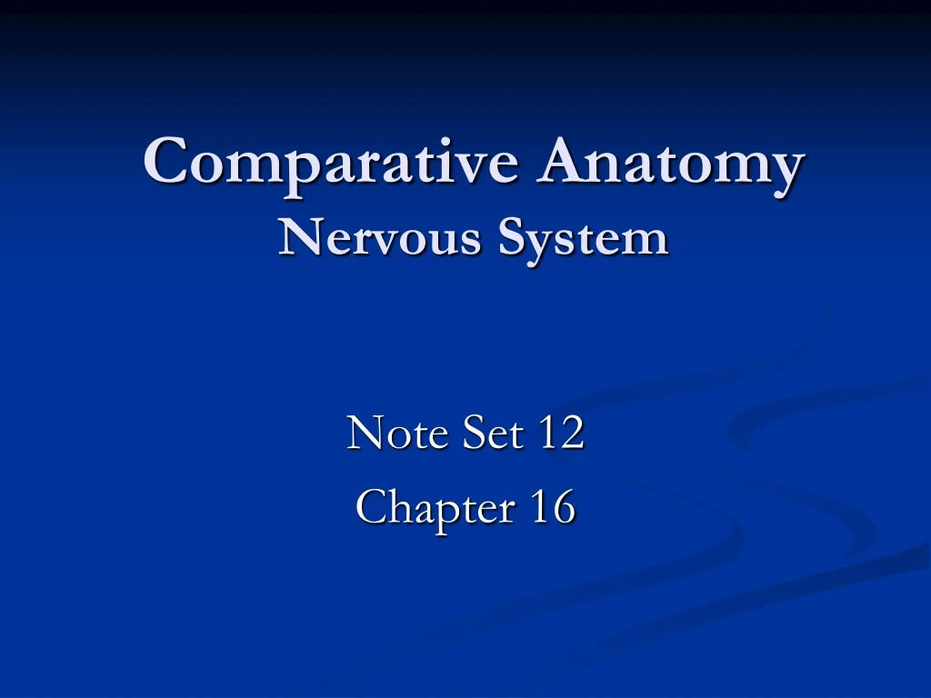 PPT - Comparative Anatomy Nervous System PowerPoint Presentation, free ...