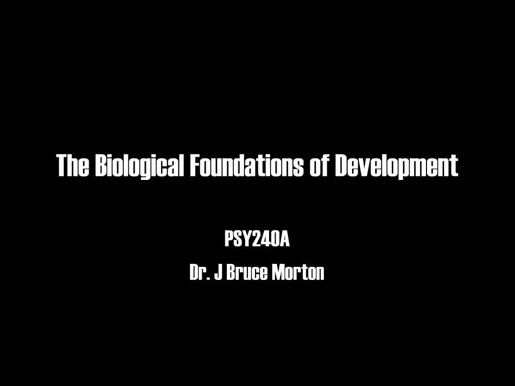 PPT - The Biological Foundations of Development PowerPoint Presentation ... PPT - The Biological Foundations of Development PowerPoint Presentation ...