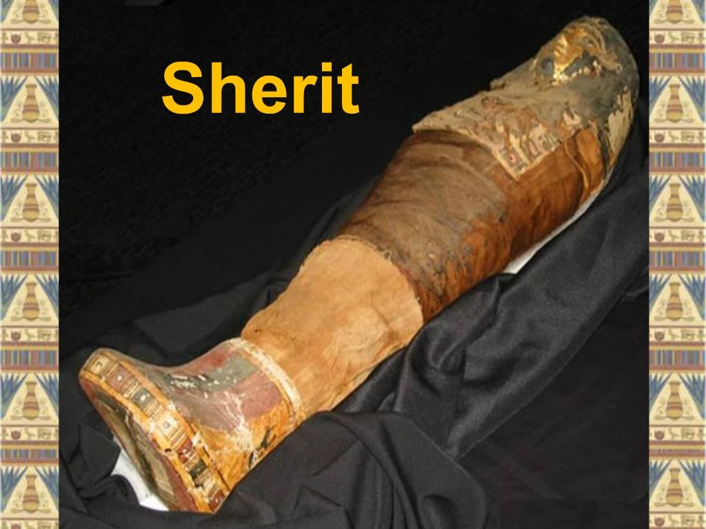 PPT - Little Sherit PowerPoint Presentation, free download - ID:340456