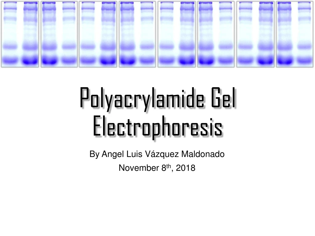 PPT - Polyacrylamide Gel Electrophoresis PowerPoint Presentation, free ...