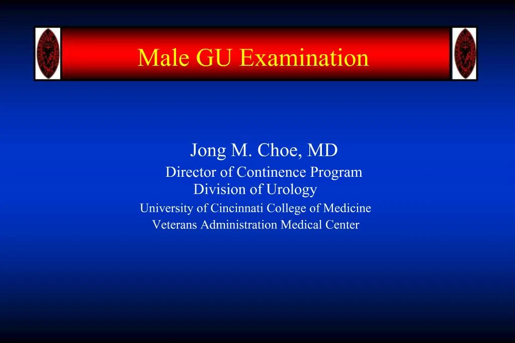 PPT - Male GU Examination PowerPoint Presentation, free download - ID ...