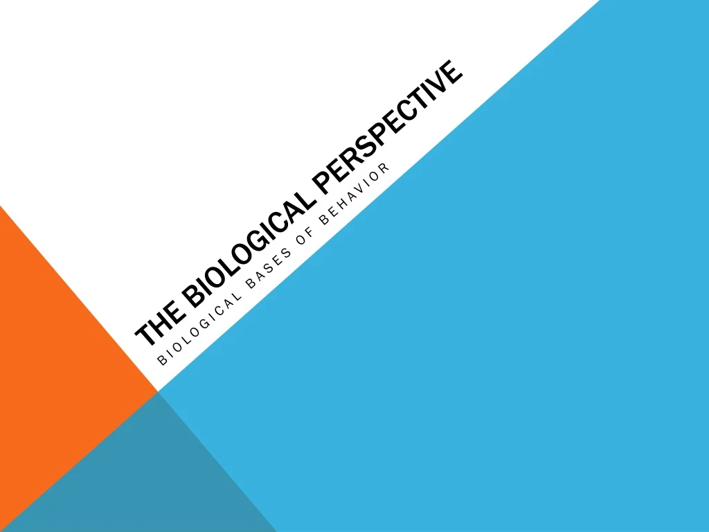 PPT - THE BIOLOGICAL PERSPECTIVE PowerPoint Presentation, free download ...