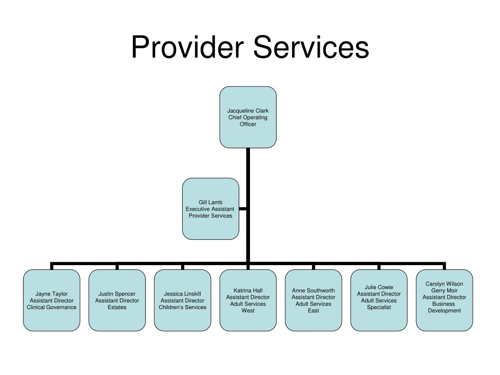 PPT - Provider Services PowerPoint Presentation, free download - ID:370209