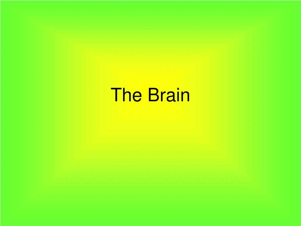 PPT - The Brain PowerPoint Presentation, free download - ID:375248