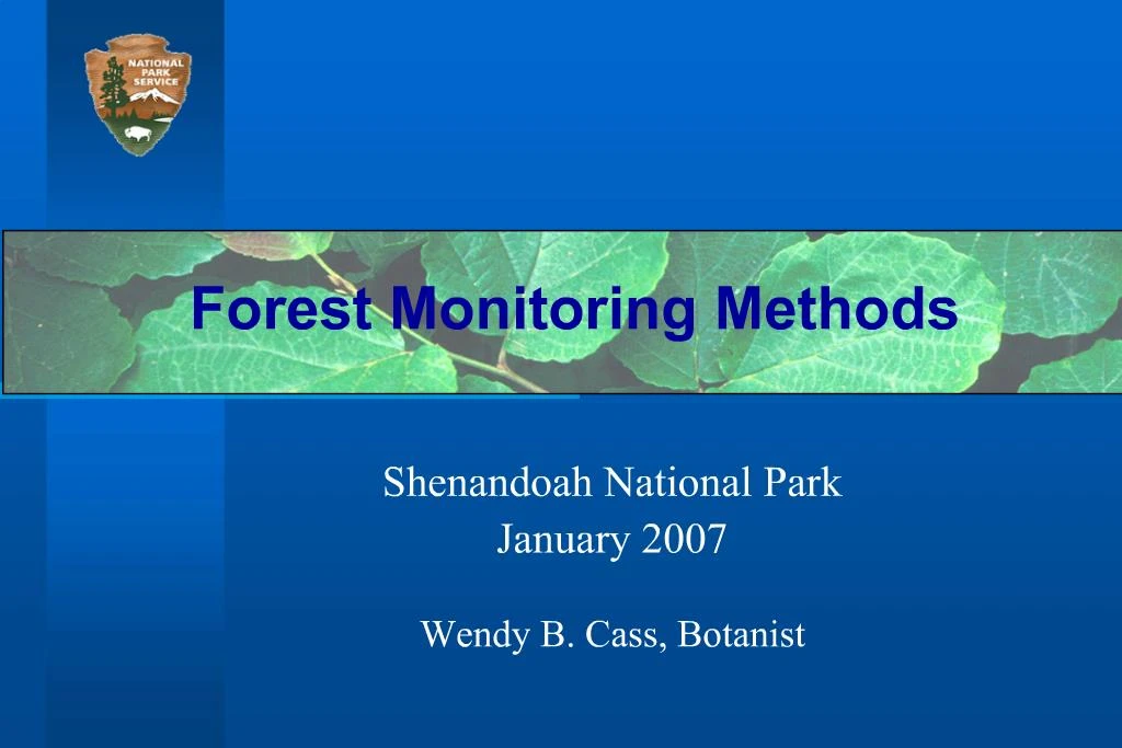 PPT - Forest Monitoring Methods PowerPoint Presentation, free download ...