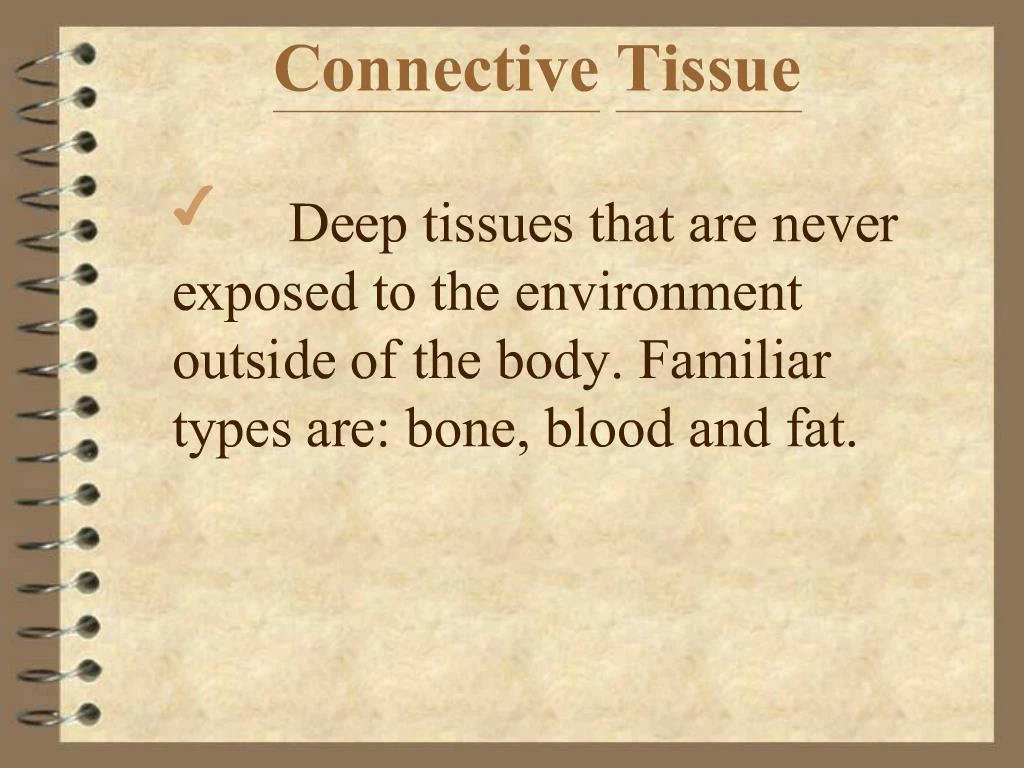 PPT - Connective Tissue PowerPoint Presentation, free download - ID:385354