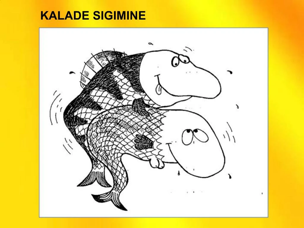 PPT - KALADE SIGIMINE PowerPoint Presentation, free download - ID:386342