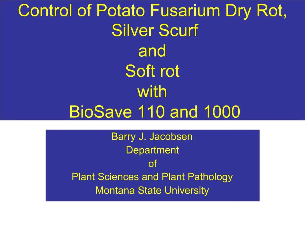 PPT - Control of Potato Fusarium Dry Rot, Silver Scurf and Soft rot ...