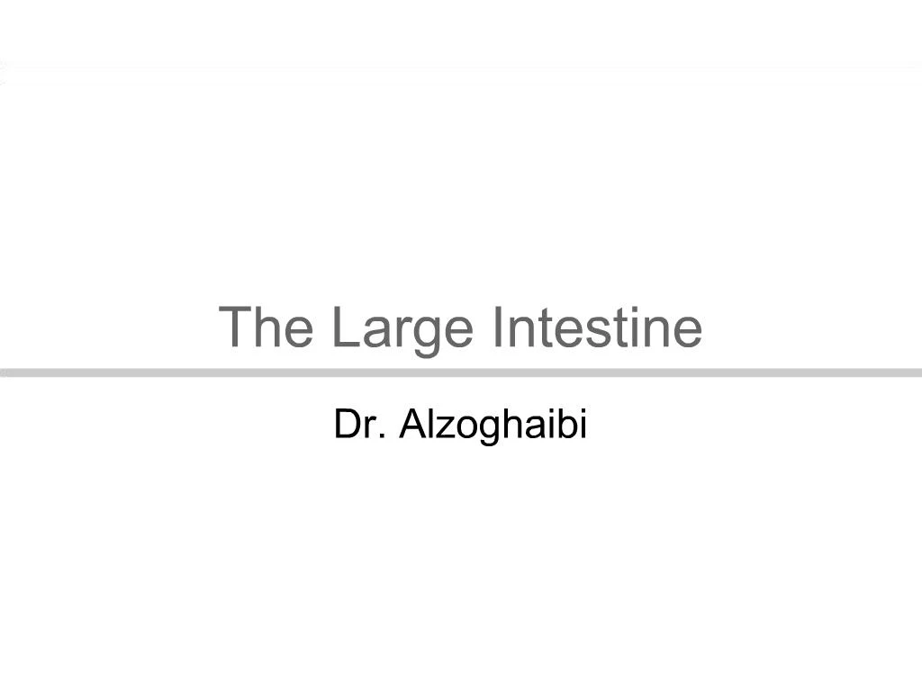 PPT - The Large Intestine PowerPoint Presentation, free download - ID ...