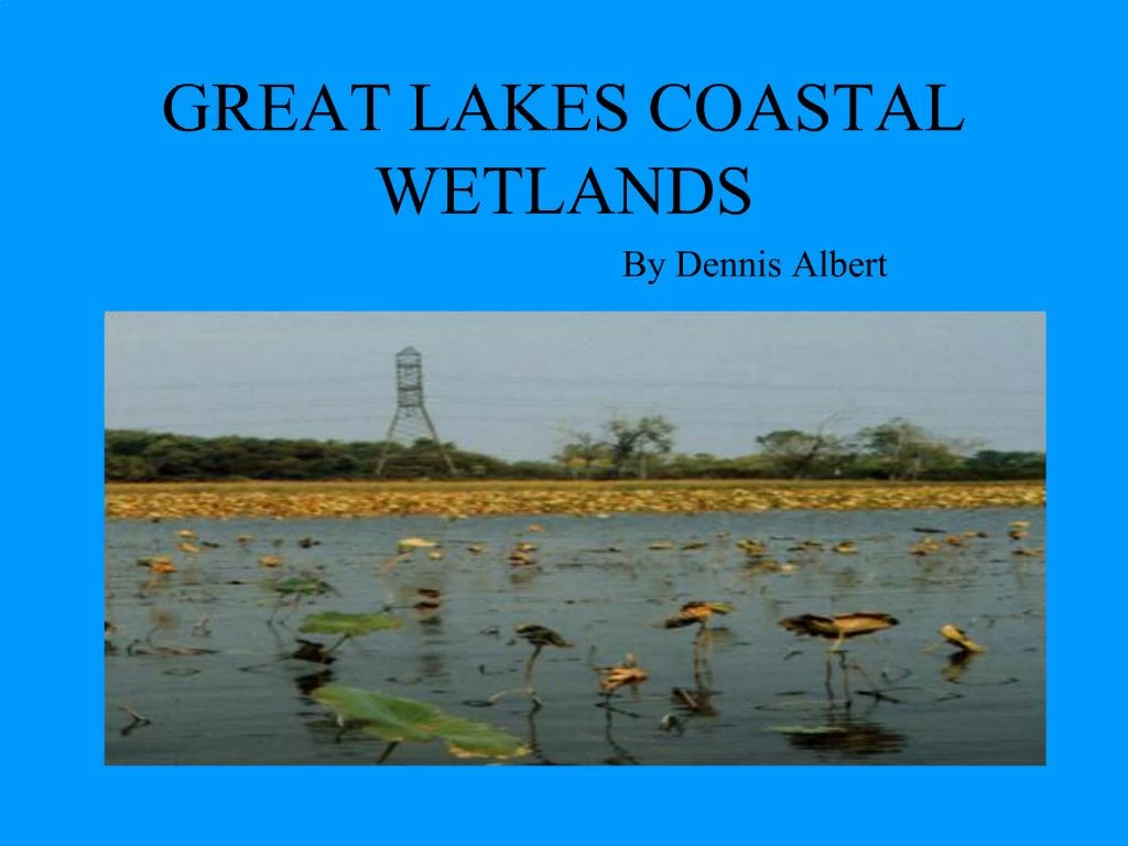 PPT - GREAT LAKES COASTAL WETLANDS PowerPoint Presentation, free ...