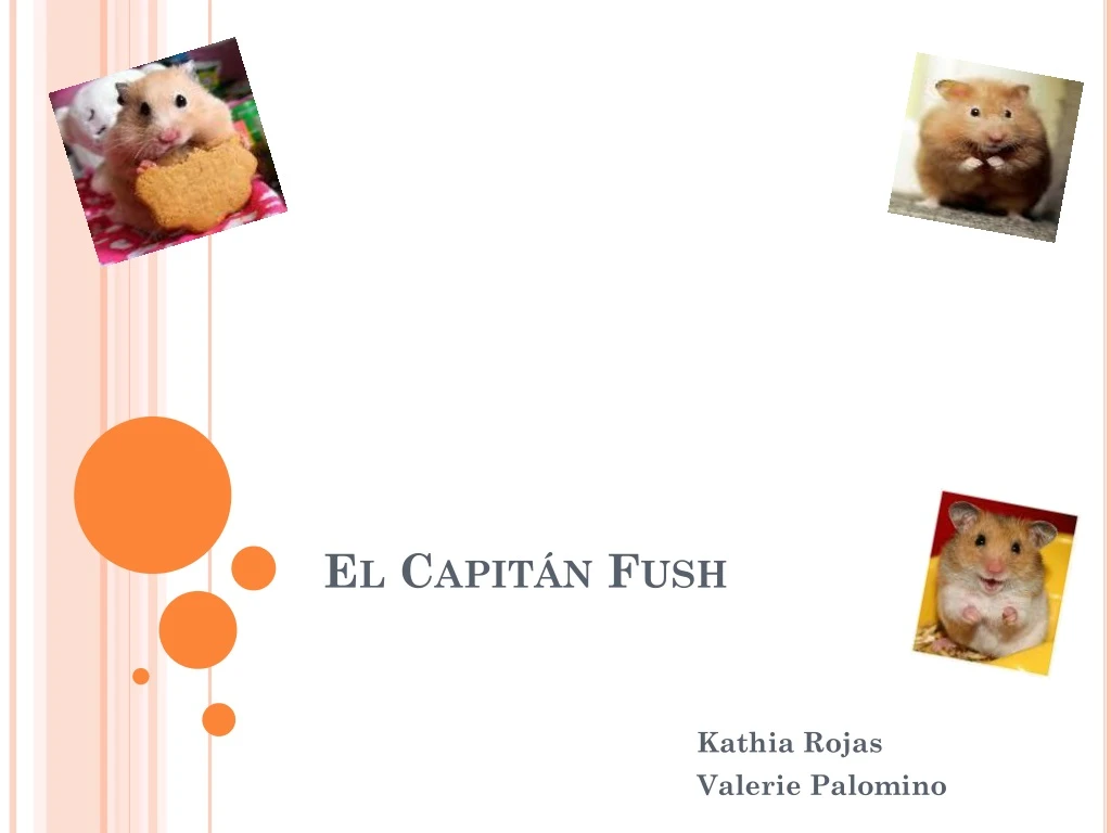 PPT - El Capitan Fush PowerPoint Presentation, free download - ID:40690