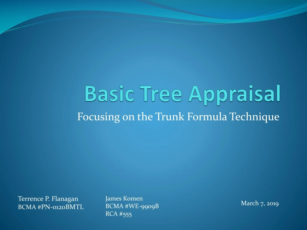 PPT - Basic Tree Appraisal PowerPoint Presentation, free download - ID ...