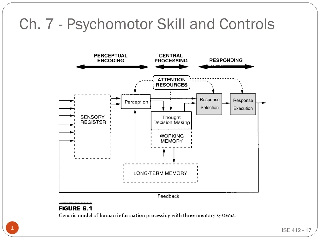 PPT - Ch. 7 - Psychomotor Skill and Controls PowerPoint Presentation ...