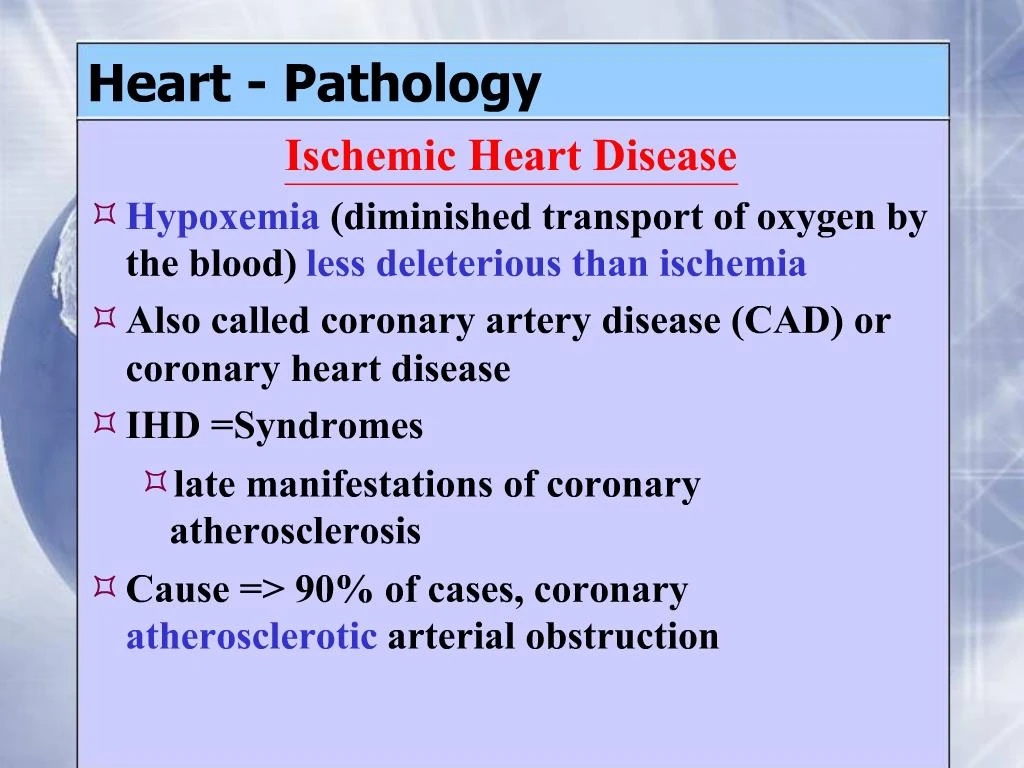 PPT - Heart - Pathology PowerPoint Presentation, free download - ID:431559