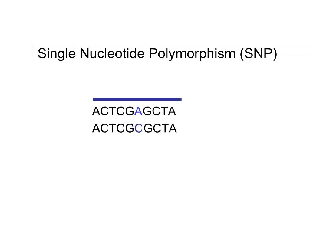 PPT - Single Nucleotide Polymorphism SNP PowerPoint Presentation, free ... PPT - Single Nucleotide Polymorphism SNP PowerPoint Presentation, free ...