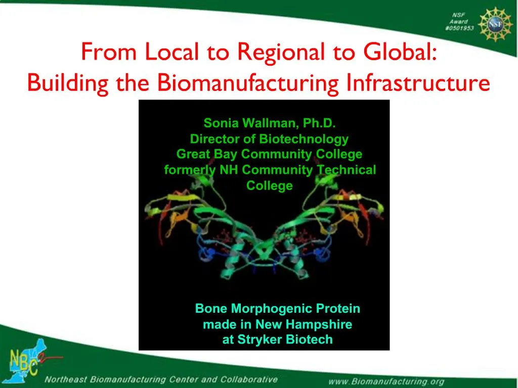 PPT - From Local to Regional to Global: Building the Biomanufacturing ...