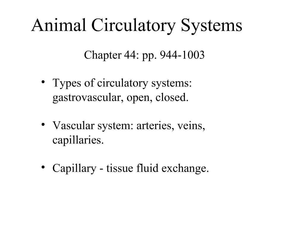 PPT - Animal Circulatory Systems PowerPoint Presentation, free download ...