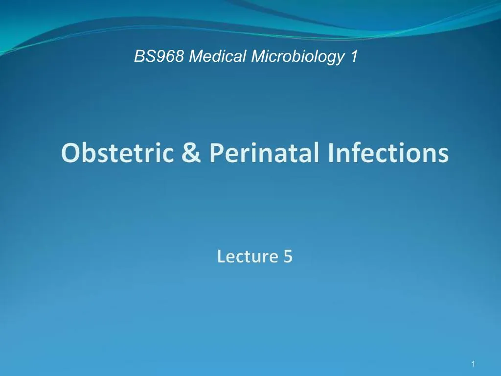 PPT - Obstetric Perinatal Infections Lecture 5 PowerPoint Presentation ...
