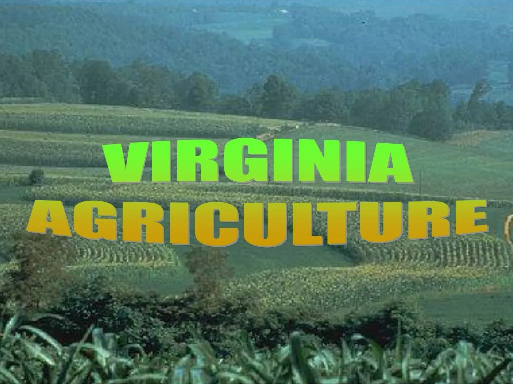 PPT - VIRGINIA AGRICULTURE PowerPoint Presentation, free download - ID ...