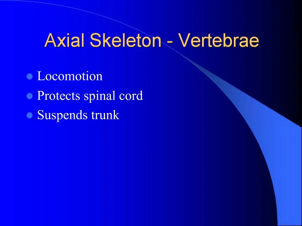 PPT - Axial Skeleton - Vertebrae PowerPoint Presentation, free download ...