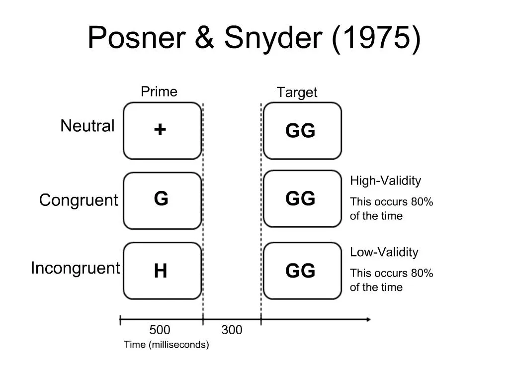 PPT - Posner Snyder 1975 PowerPoint Presentation, free download - ID:491219