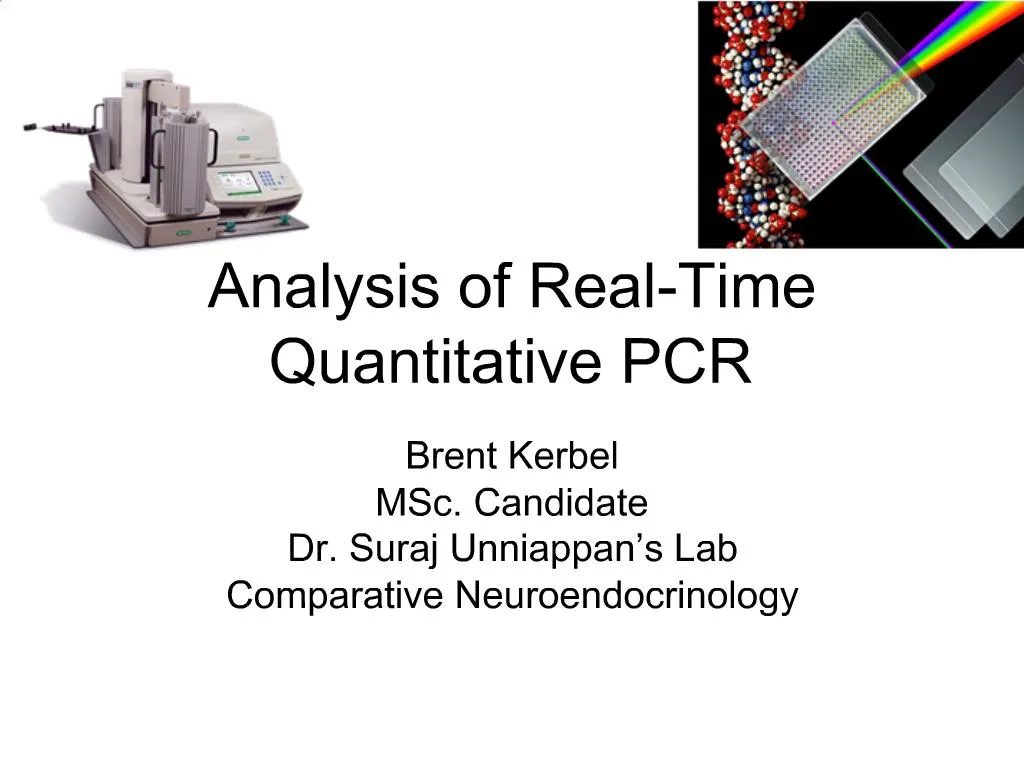 PPT - Analysis of Real-Time Quantitative PCR PowerPoint Presentation ...