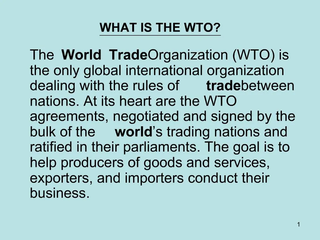 PPT - WHAT IS THE WTO PowerPoint Presentation, free download - ID:501405