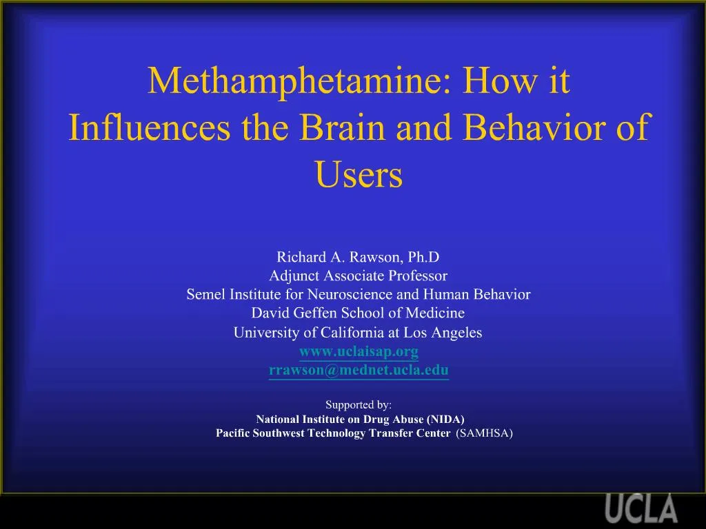 PPT - Methamphetamine: How it Influences the Brain and Behavior of ...