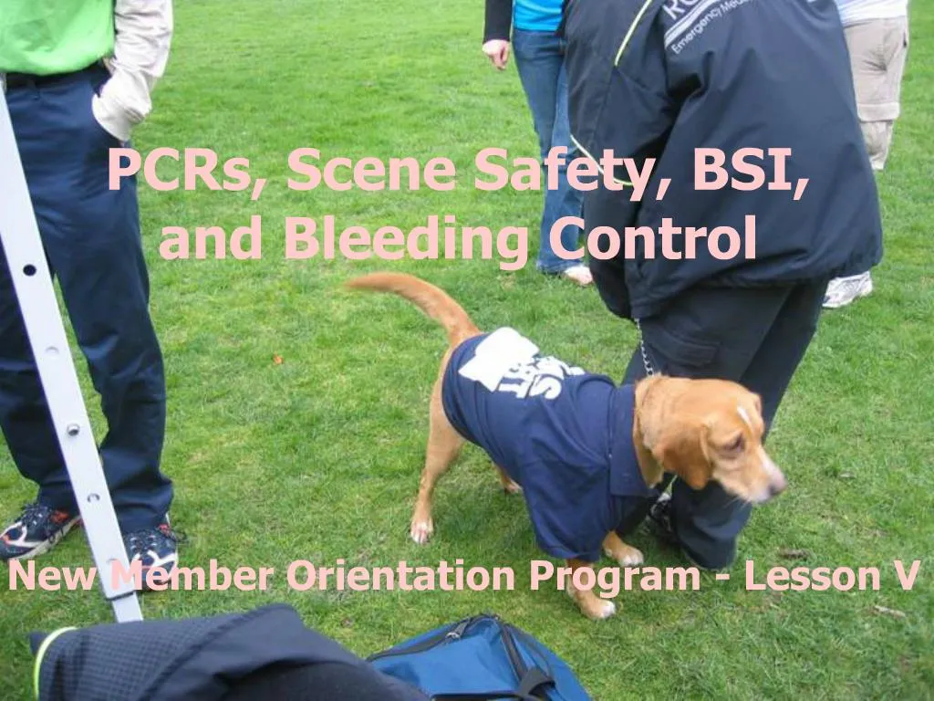 PPT - PCRs, Scene Safety, BSI, and Bleeding Control PowerPoint ...