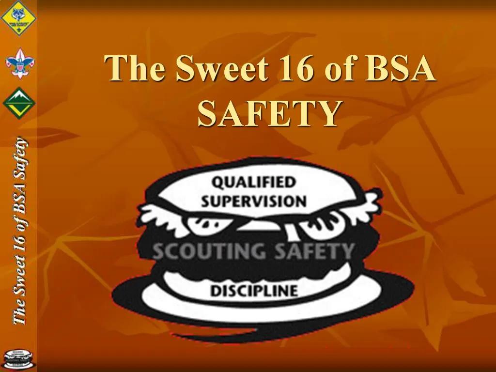 PPT - The Sweet 16 of BSA SAFETY PowerPoint Presentation, free download ...