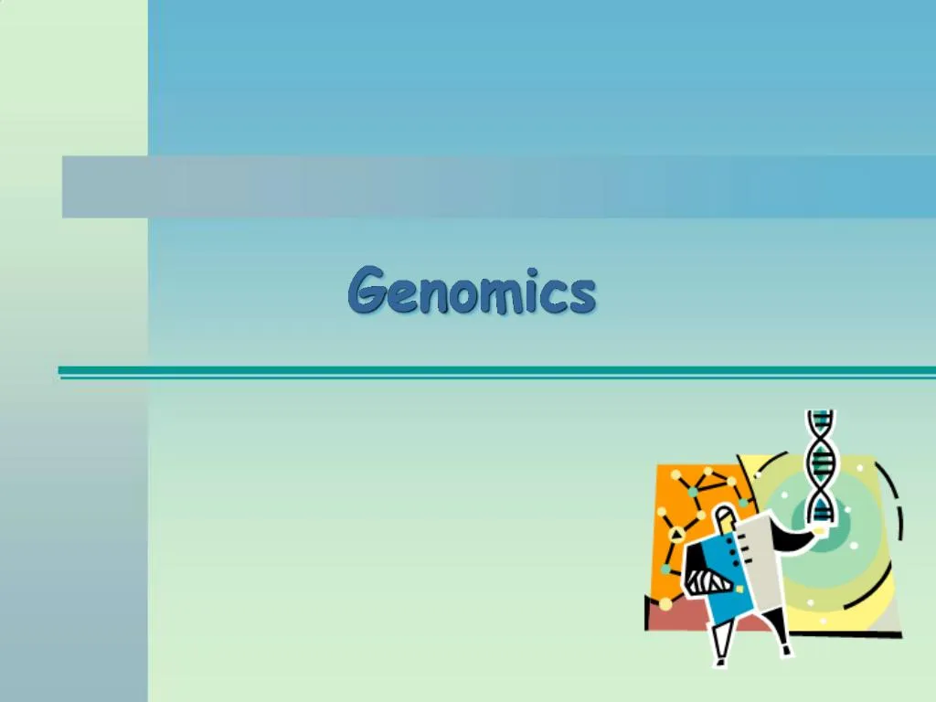 PPT - Genomics PowerPoint Presentation, free download - ID:524238