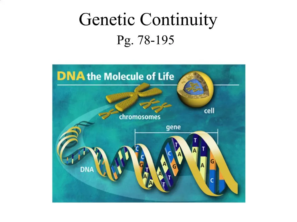 PPT - Genetic Continuity PowerPoint Presentation, free download - ID:526372