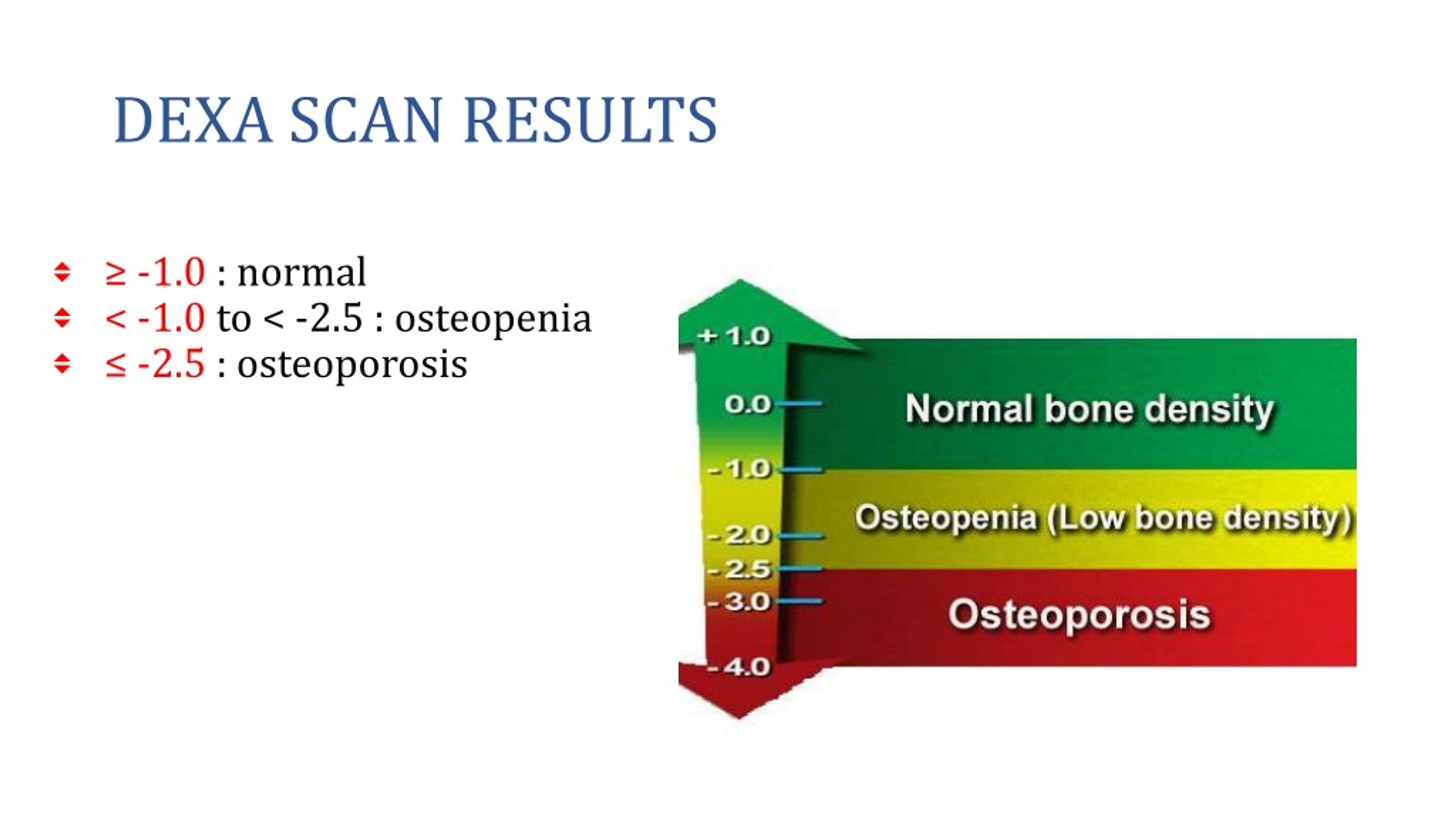 How To Read A Bone Density Scan Z Score At Maria Elsberry Blog How To Read A Bone Density Scan Z Score At Maria Elsberry Blog