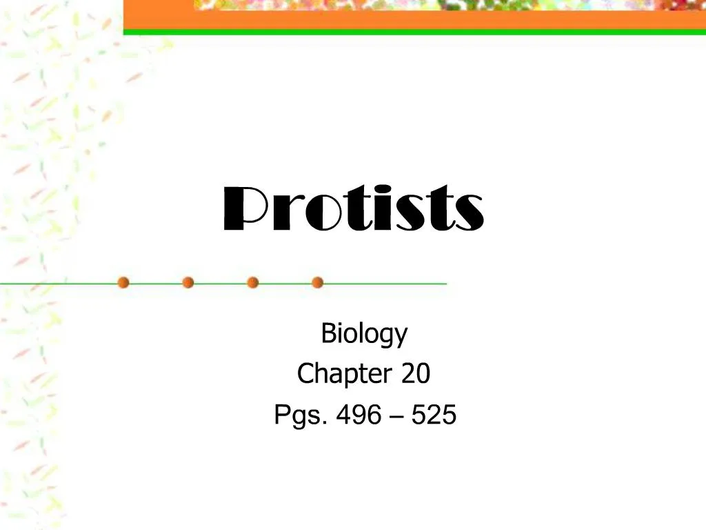 PPT - Protists PowerPoint Presentation, free download - ID:527813