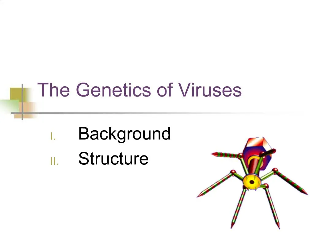 PPT - The Genetics of Viruses PowerPoint Presentation, free download ...