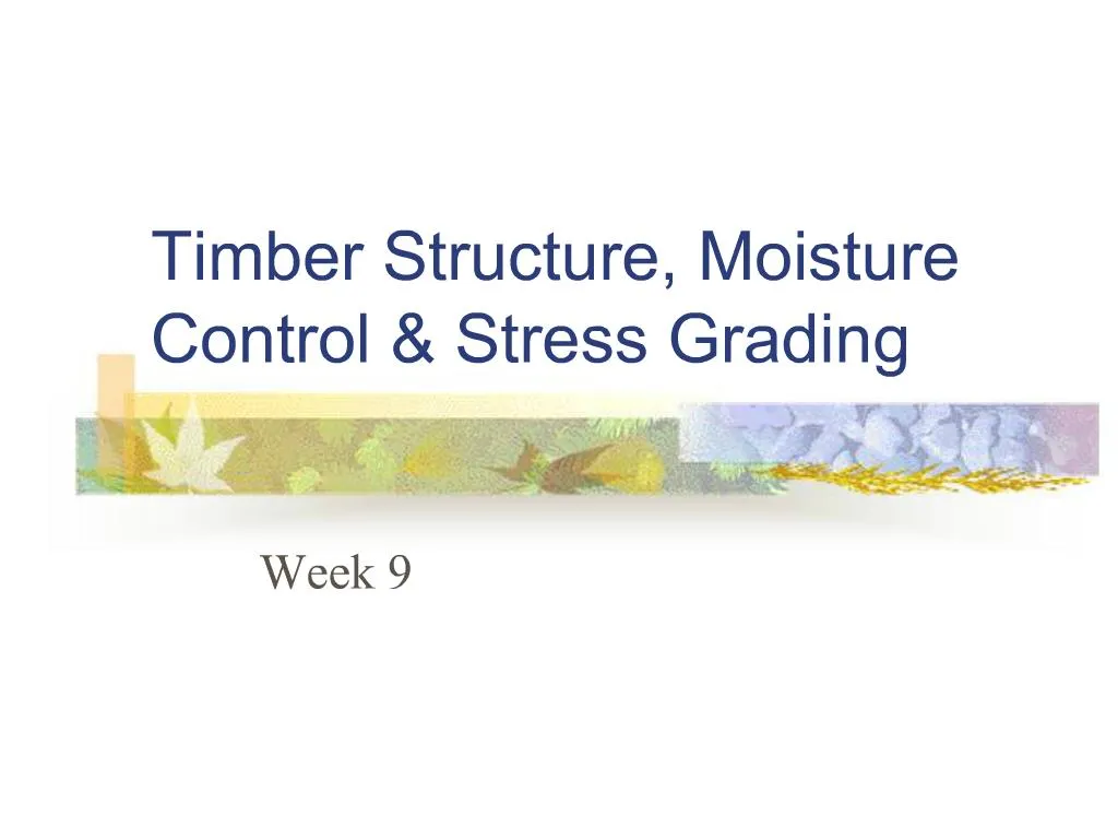 PPT - Timber Structure, Moisture Control Stress Grading PowerPoint ...