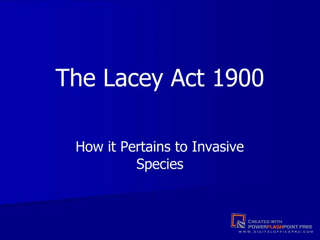 PPT - The Lacey Act 1900 PowerPoint Presentation, free download - ID:55426