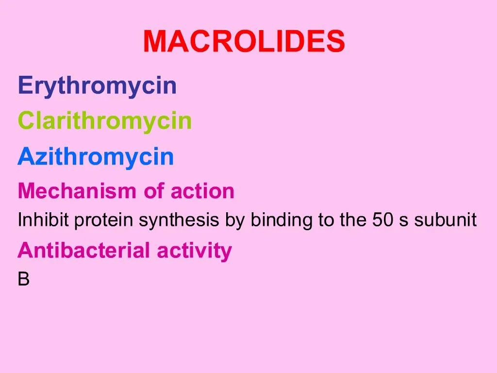 PPT - MACROLIDES PowerPoint Presentation, free download - ID:562277