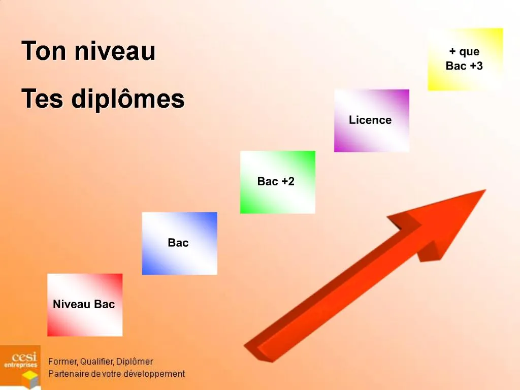 PPT - Niveau Bac PowerPoint Presentation, free download - ID:574332