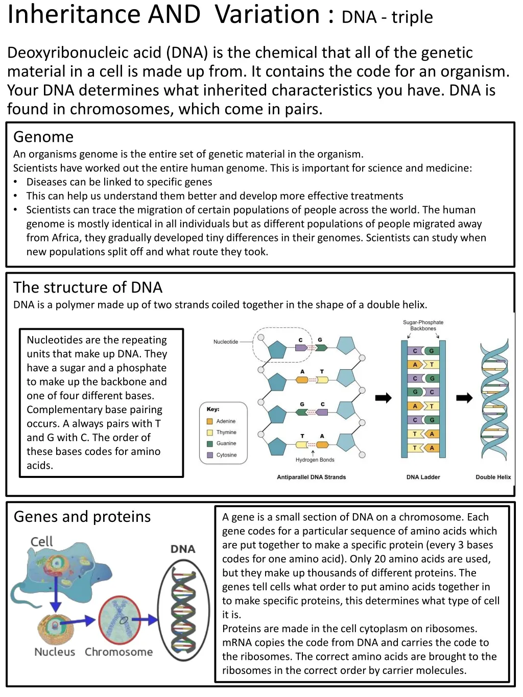 PPT - Inheritance AND Variation : DNA - triple PowerPoint Presentation ...