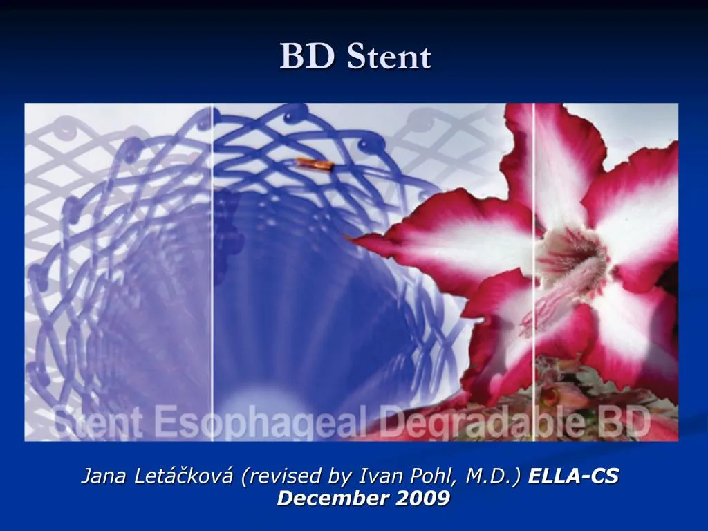PPT - BD Stent PowerPoint Presentation, free download - ID:582844