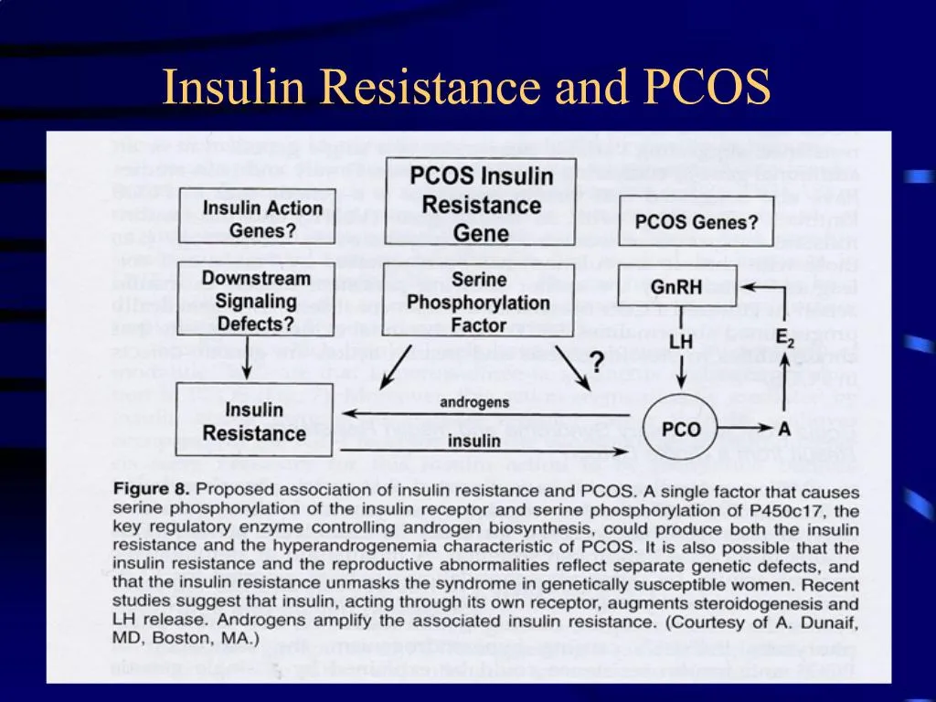 PPT - Insulin Resistance and PCOS PowerPoint Presentation, free ...