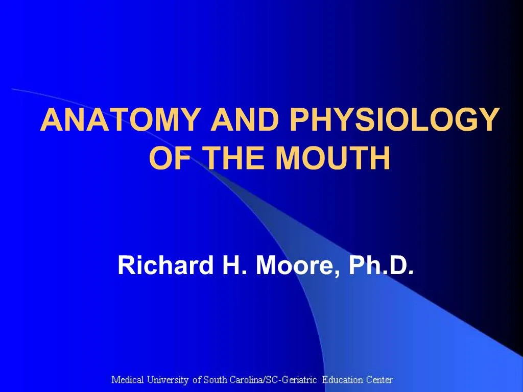 PPT - ANATOMY AND PHYSIOLOGY OF THE MOUTH PowerPoint Presentation, free ...