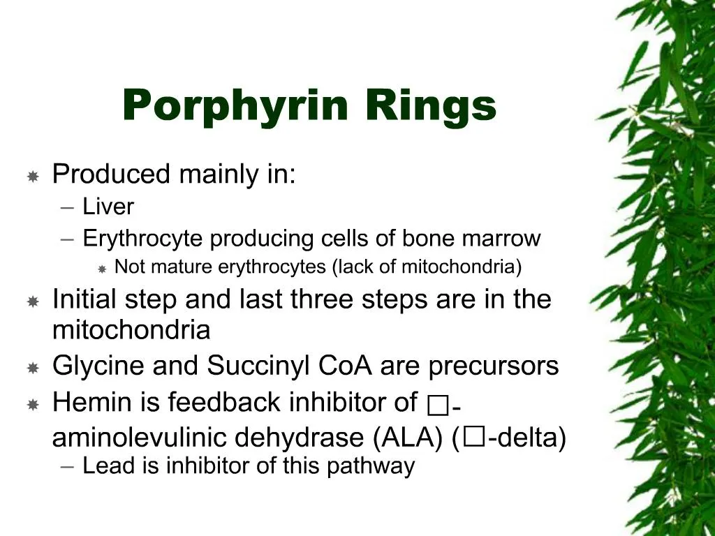 PPT - Porphyrin Rings PowerPoint Presentation, free download - ID:589903